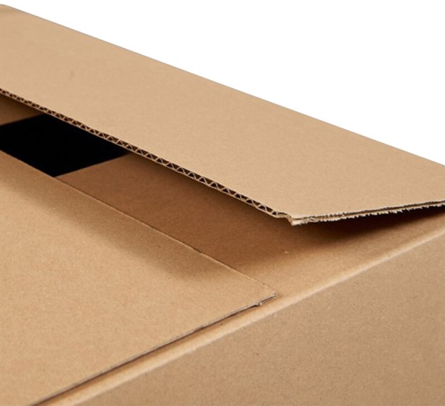 Boîte d'expédition IEZZY 305x220x110mm cannelure-B brun 1 Stuk bij ...